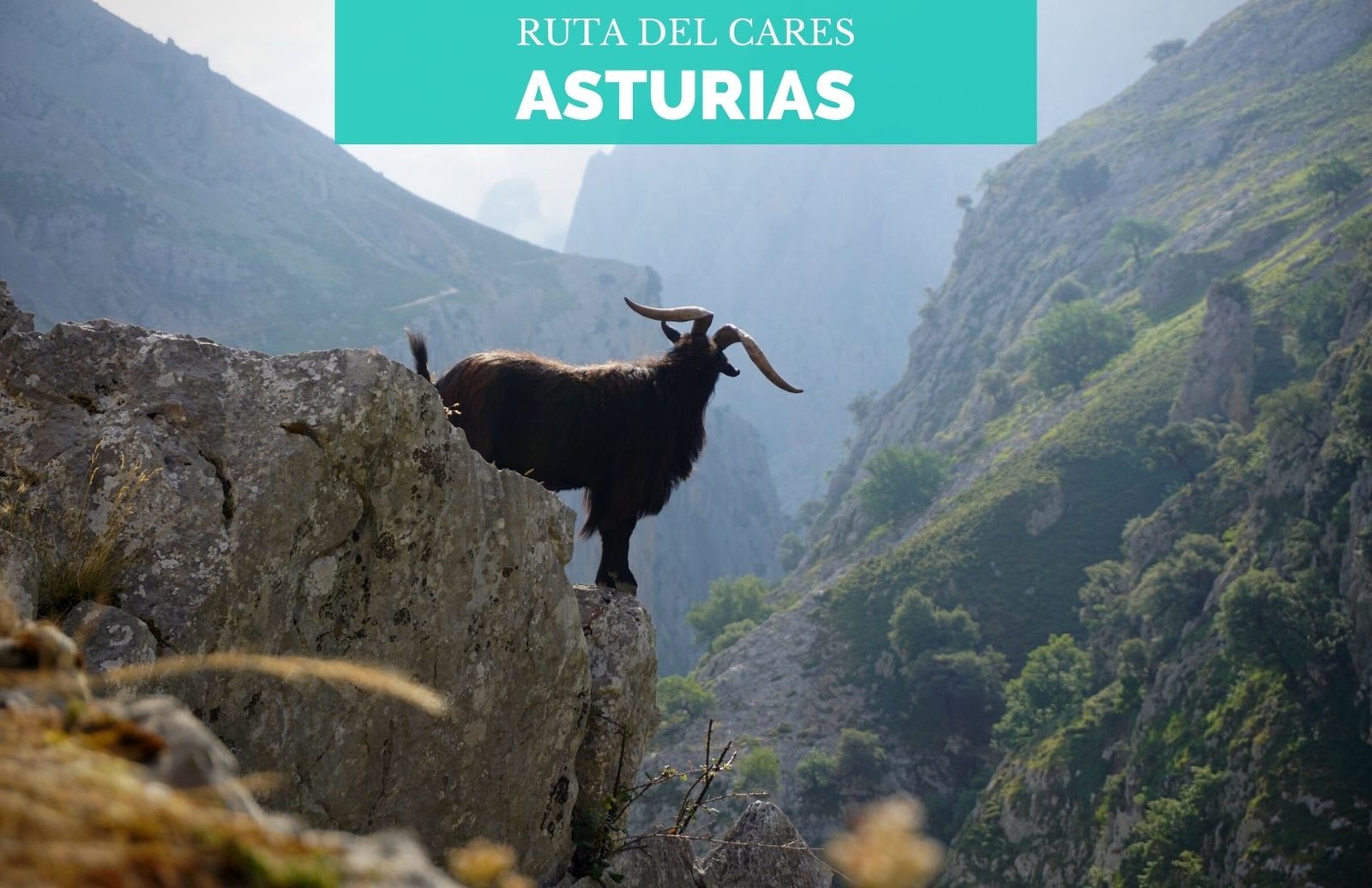 Ruta del Cares: Guía completa [2022] - Descubrir viajando